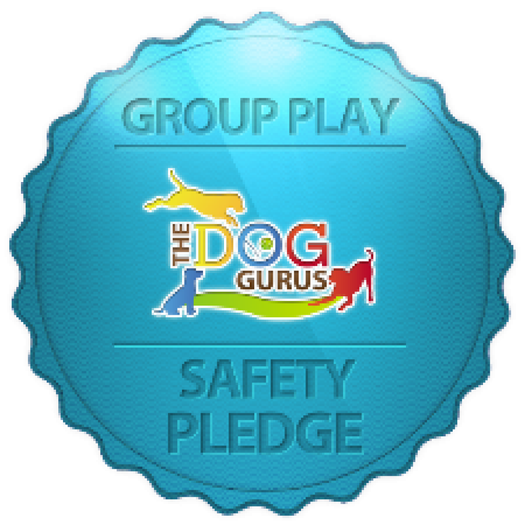safety-pledge-icon - Doggie Depot of Virginia
